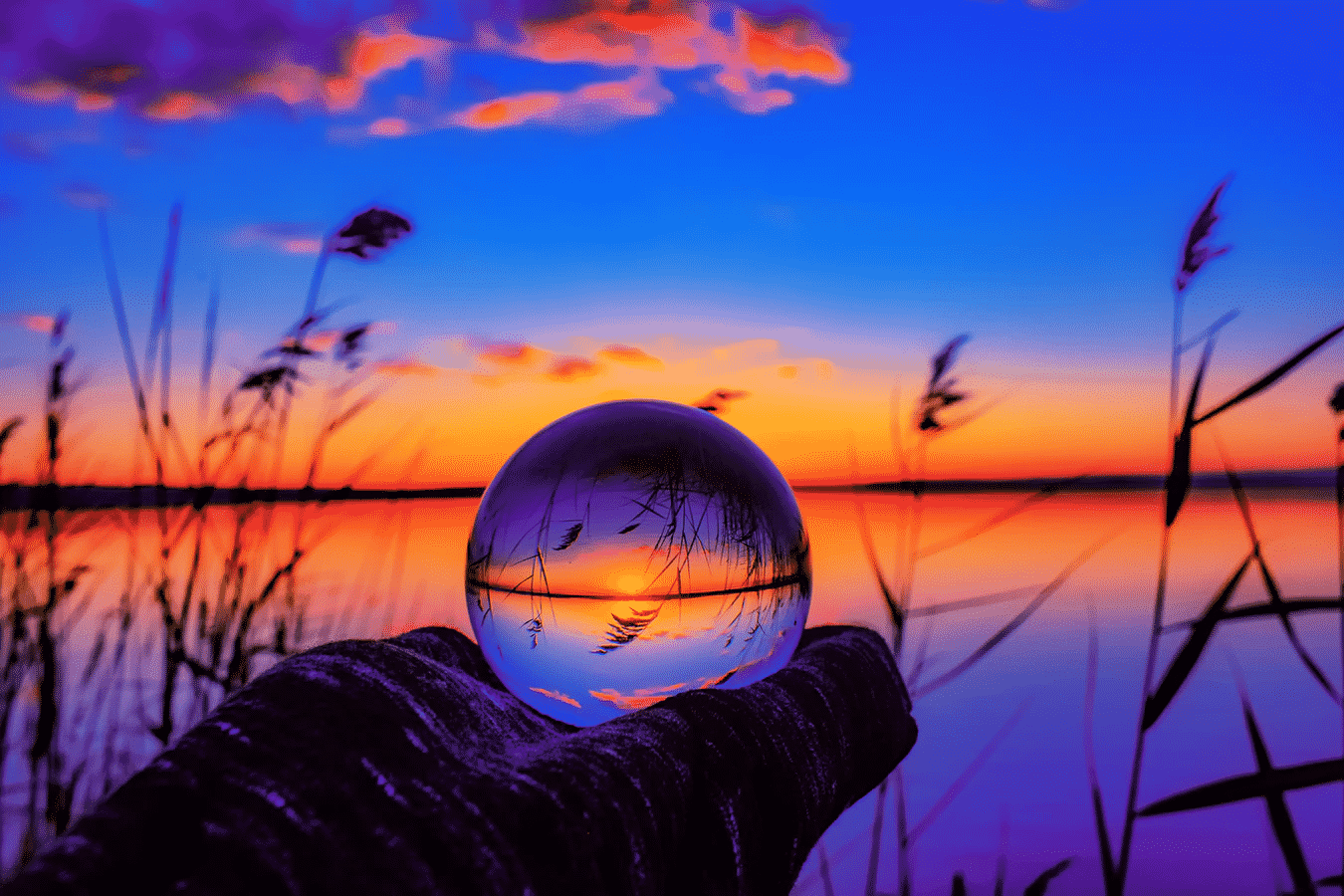 Ultimate Guide to Build Success in Art Business – ARTDEX